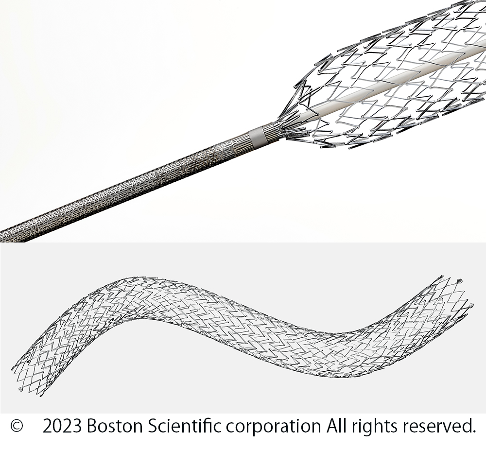 Q & A | 仙台徳洲会病院 心臓血管外科